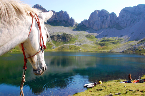 Inicio - Français - Trekking Mule
